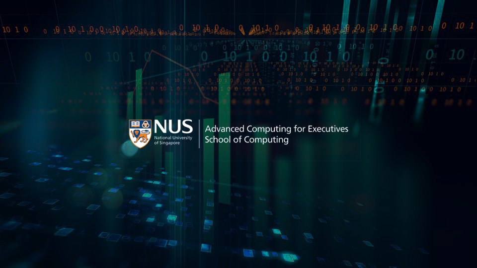 Making Fast Decisions with Data Analytics - NUS | goKampus